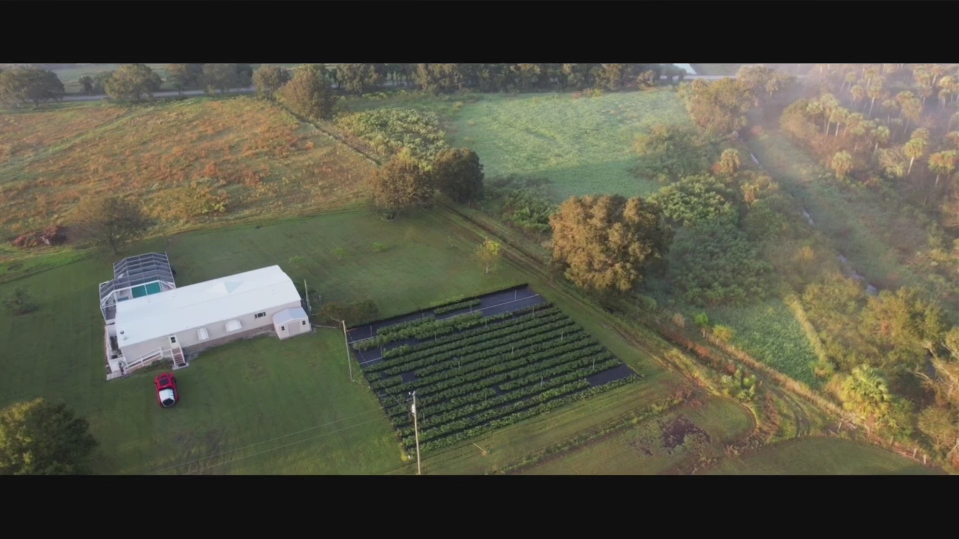 Farm Stay at Vallem Vaari Farms – VVF Tropicals